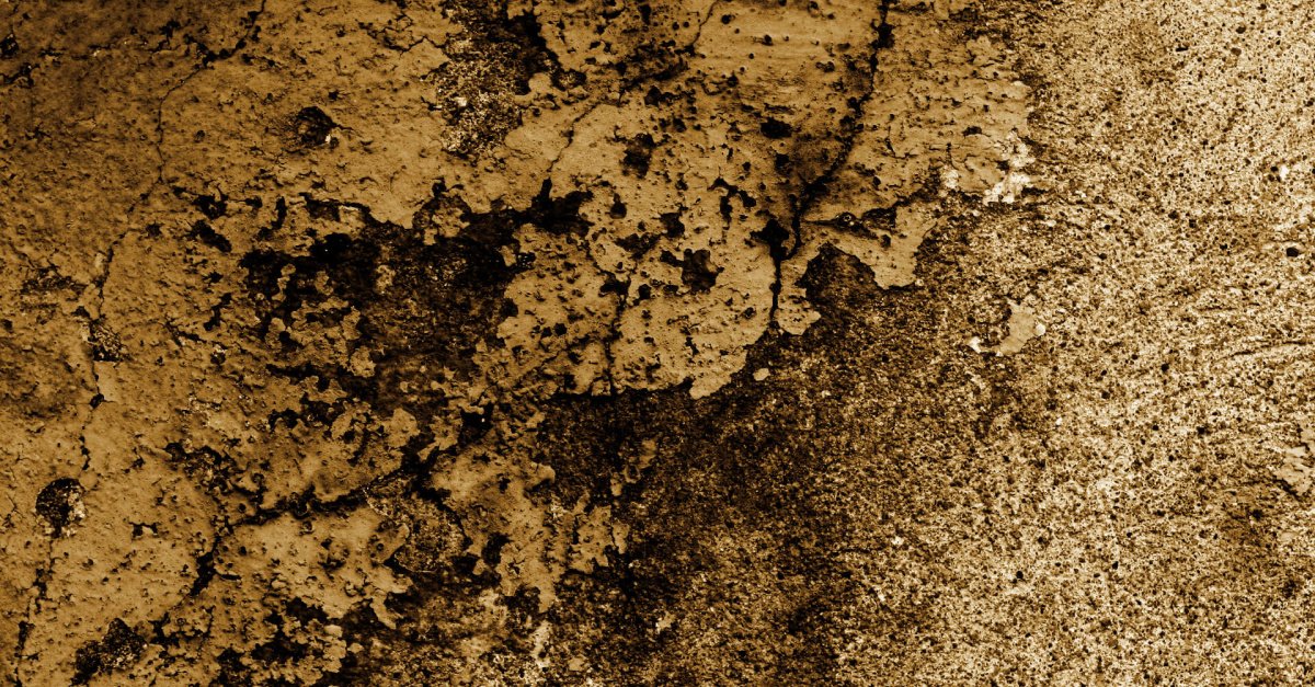 Refresh Your Space With Stunning Spring Wall Art For Coastal Themes ...